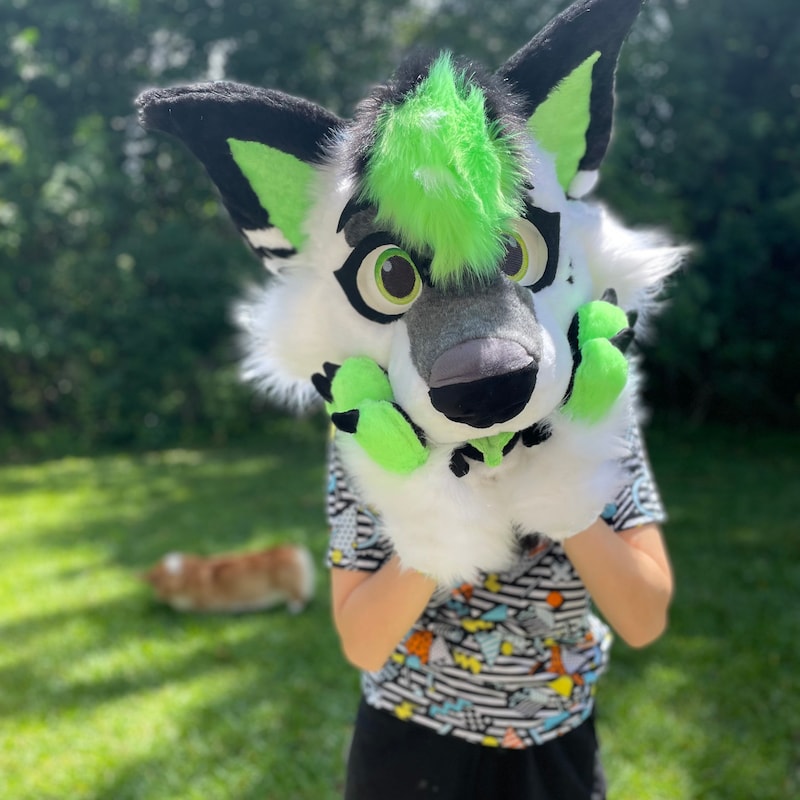 Fursuit Head - Etsy