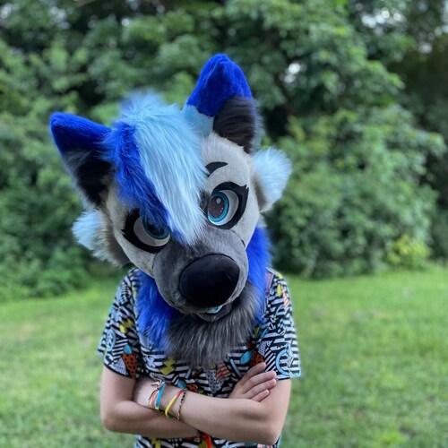 CUSTOM digital furry fursona drawings commission fursuit head or full ...