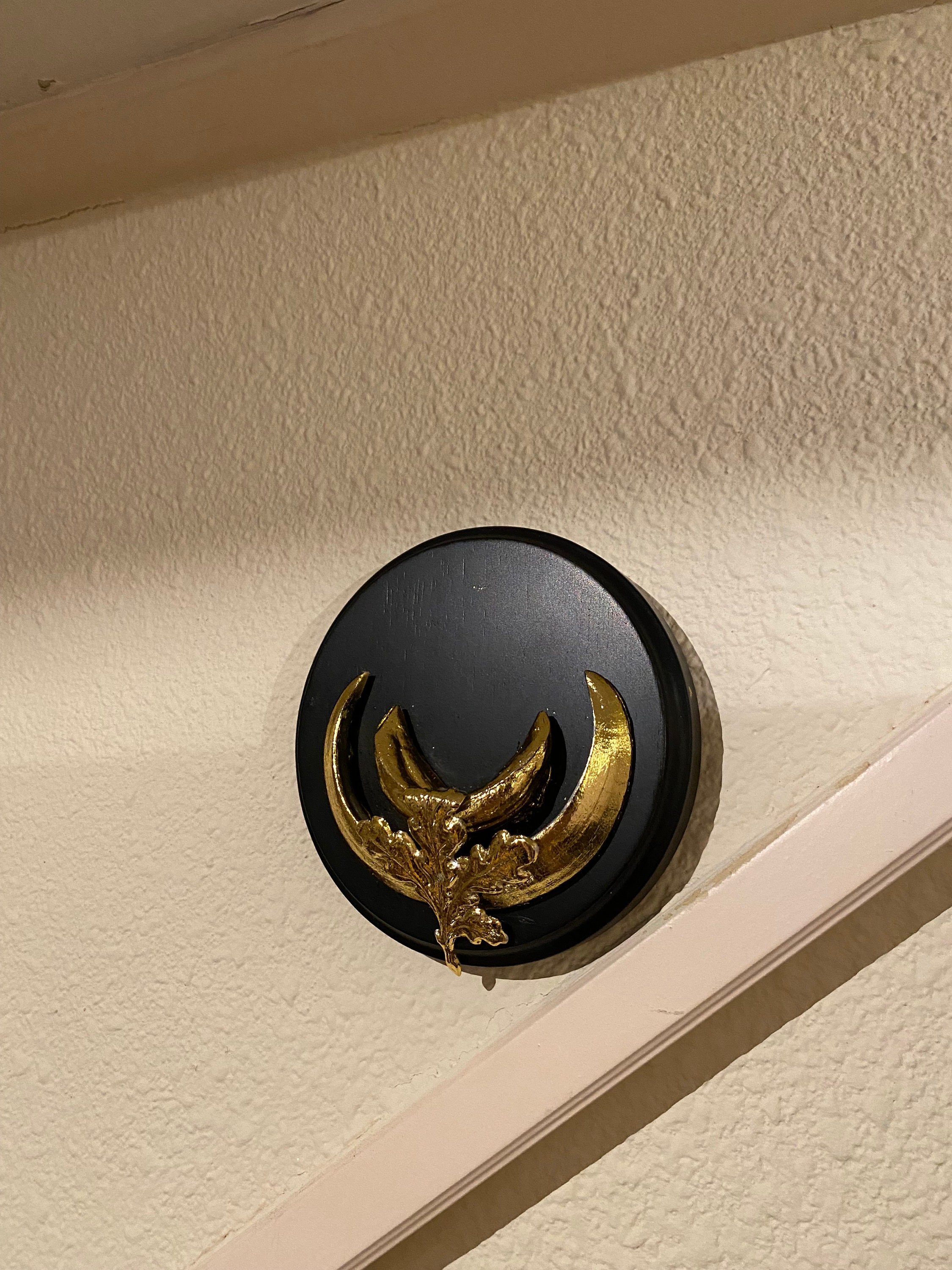 Taxidermy Wild Boar Teeth. - Etsy