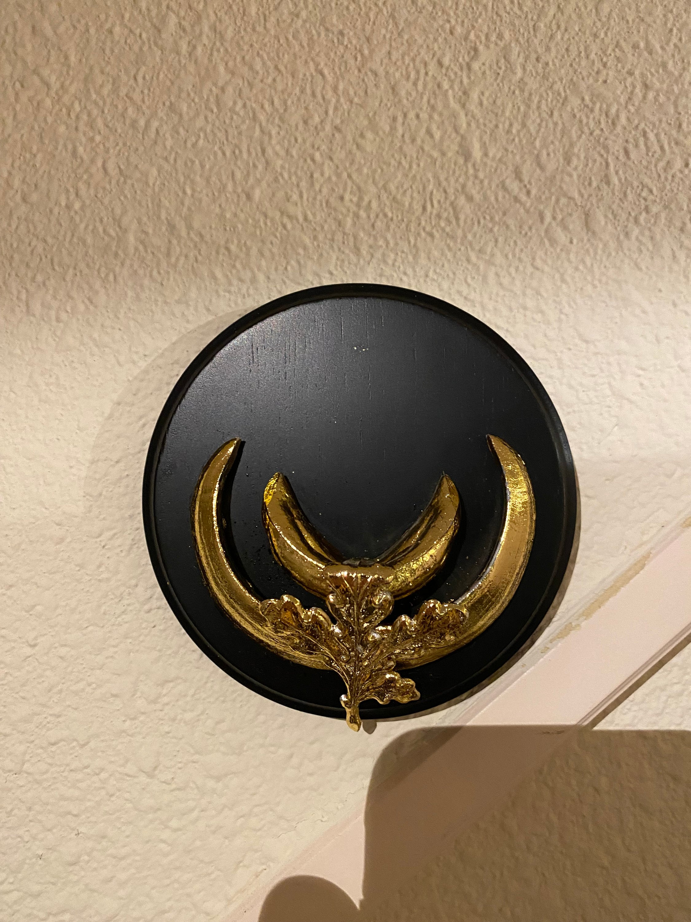 Taxidermy Wild Boar Teeth. - Etsy