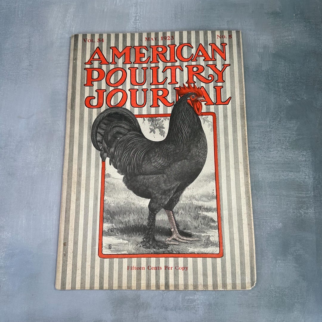 1923 American Poultry Journal Magazine Chicago, IL Chicken Farming ...