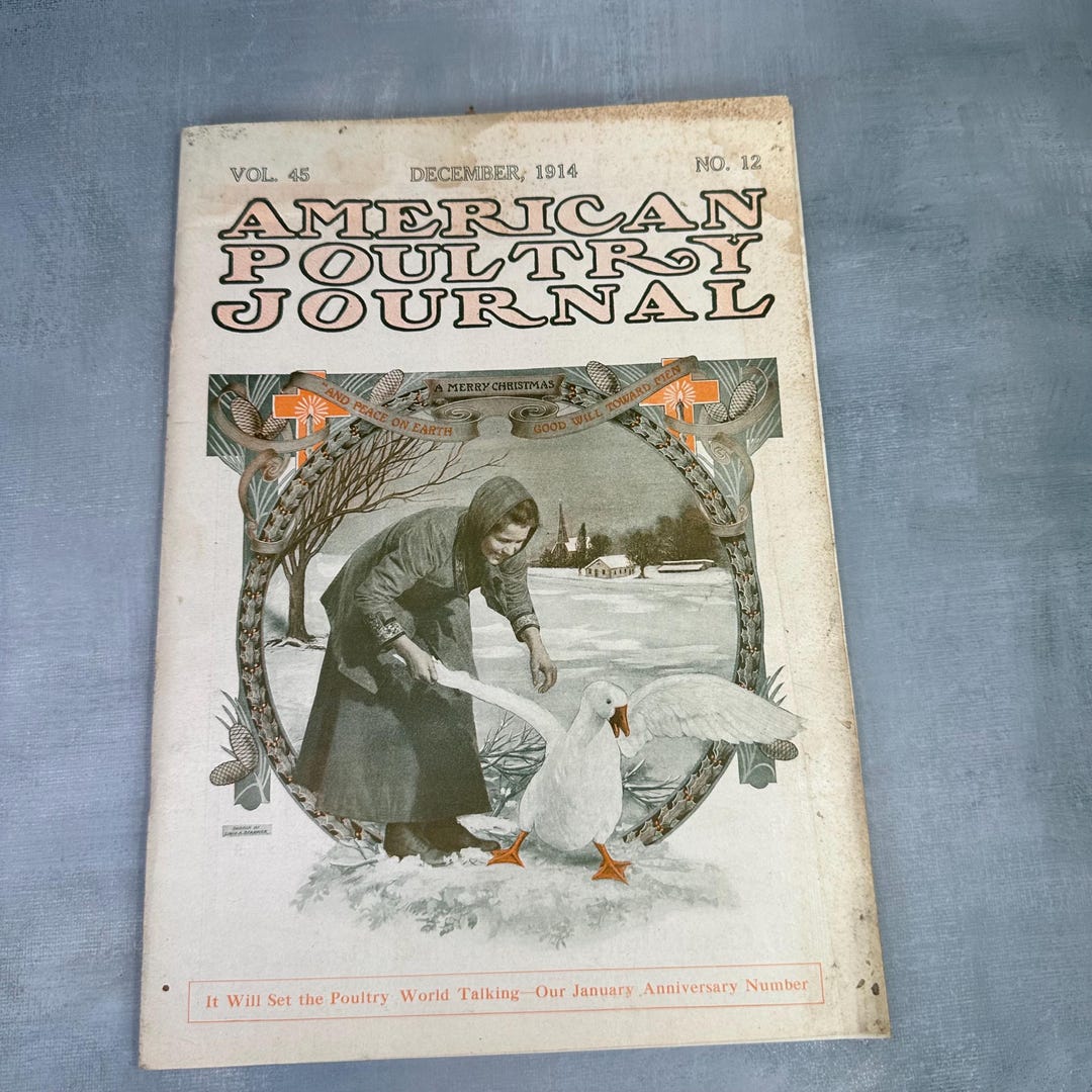 1914 American Poultry Journal Magazine Chicago, IL Chicken Farming ...