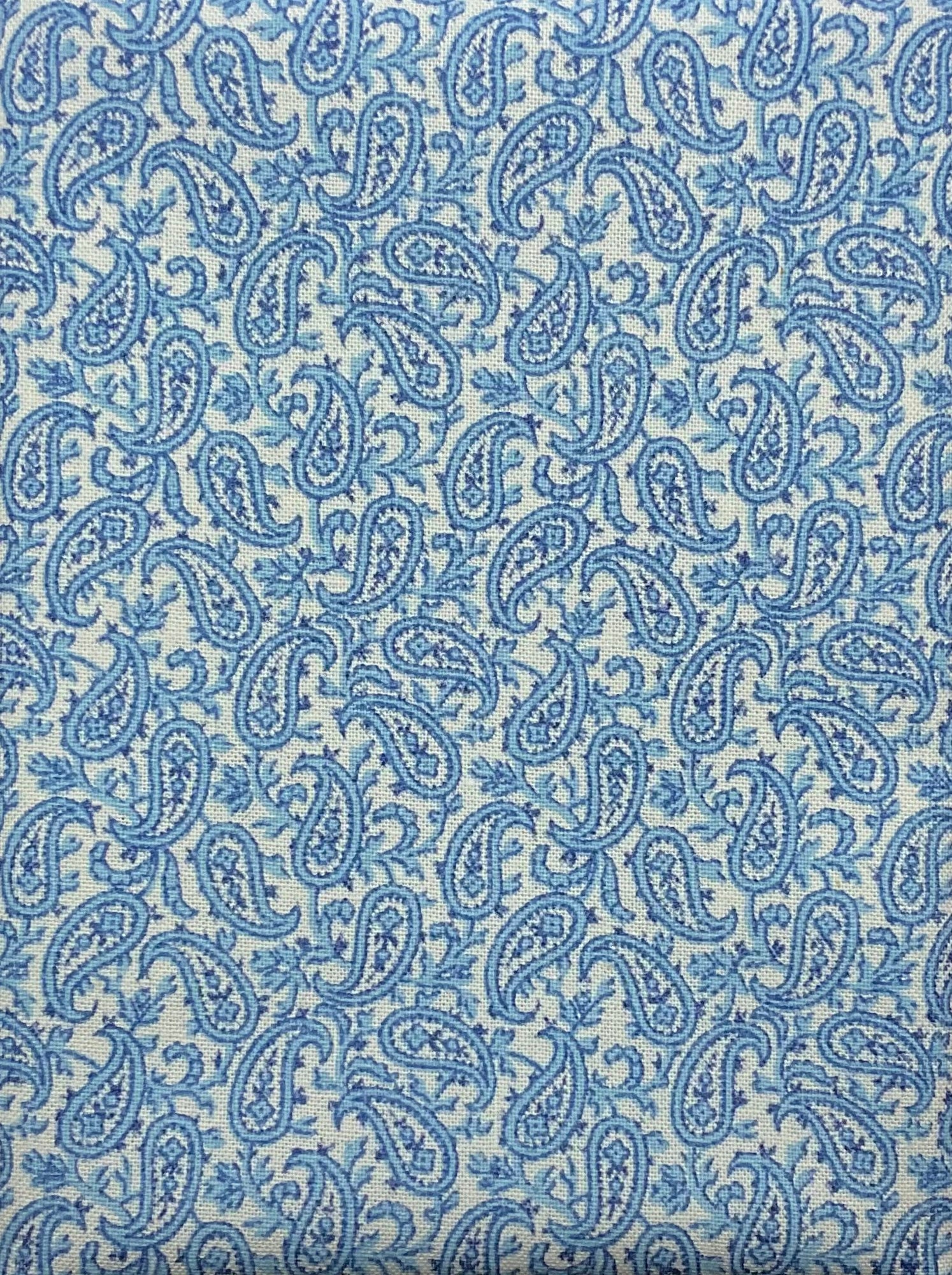 Light blue paisley print on an off-white cotton. | Etsy