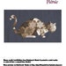 Cat 'squat Jeremy' EPP Patchwork Pattern PDF - Digital Download - Etsy UK