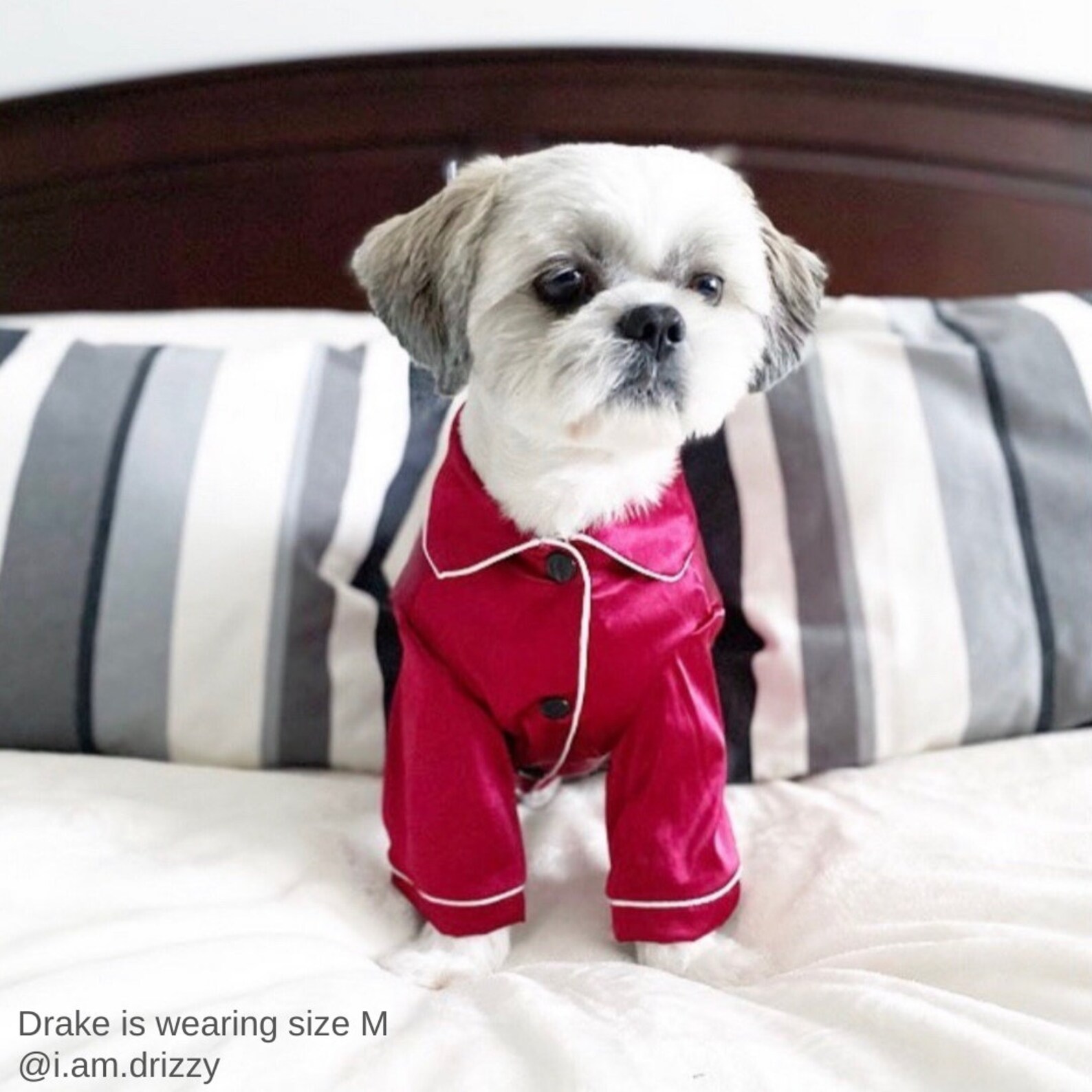 Gift for Dog Moms Matching Pet and Owner Pajamas Set in Ruby - Etsy