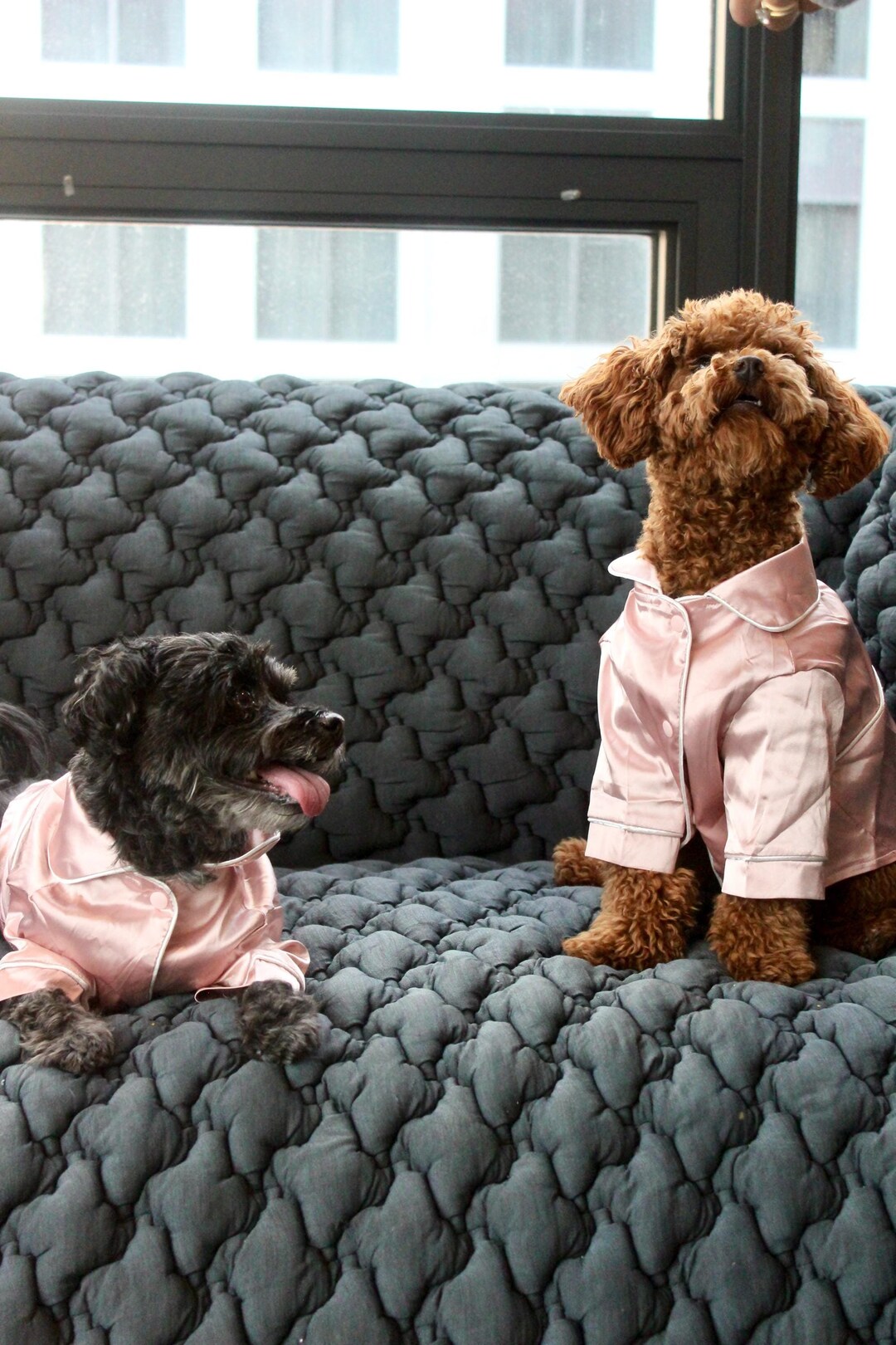Pink Pet Pj's for Dogs and Cats in Rose Gold Satin Cute Dog Clothes Dog ...