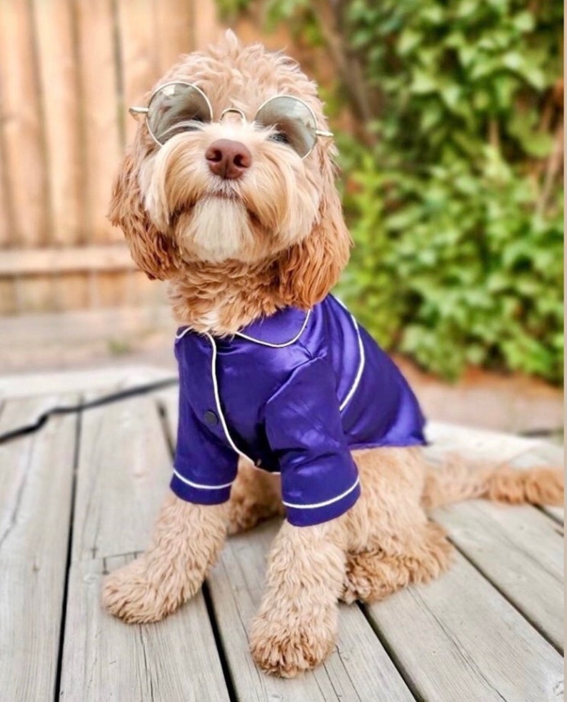 Matching Pet and Owner Pajamas Set in Sapphire Satin dogs and - Etsy