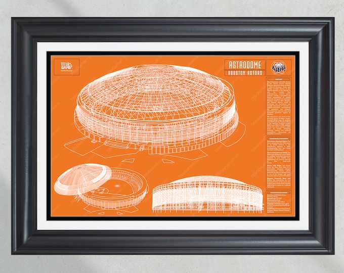 Astrodome Print, Houston Decor, Houston Gift, Houston Wall Decor ...