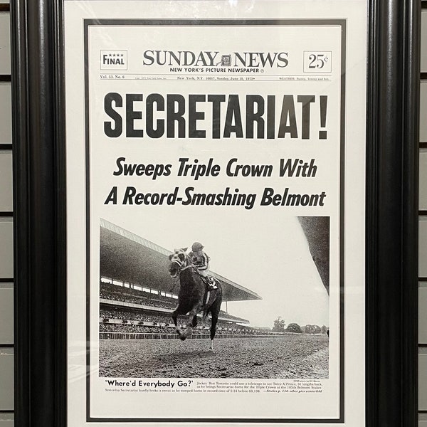 Secretariat - Etsy