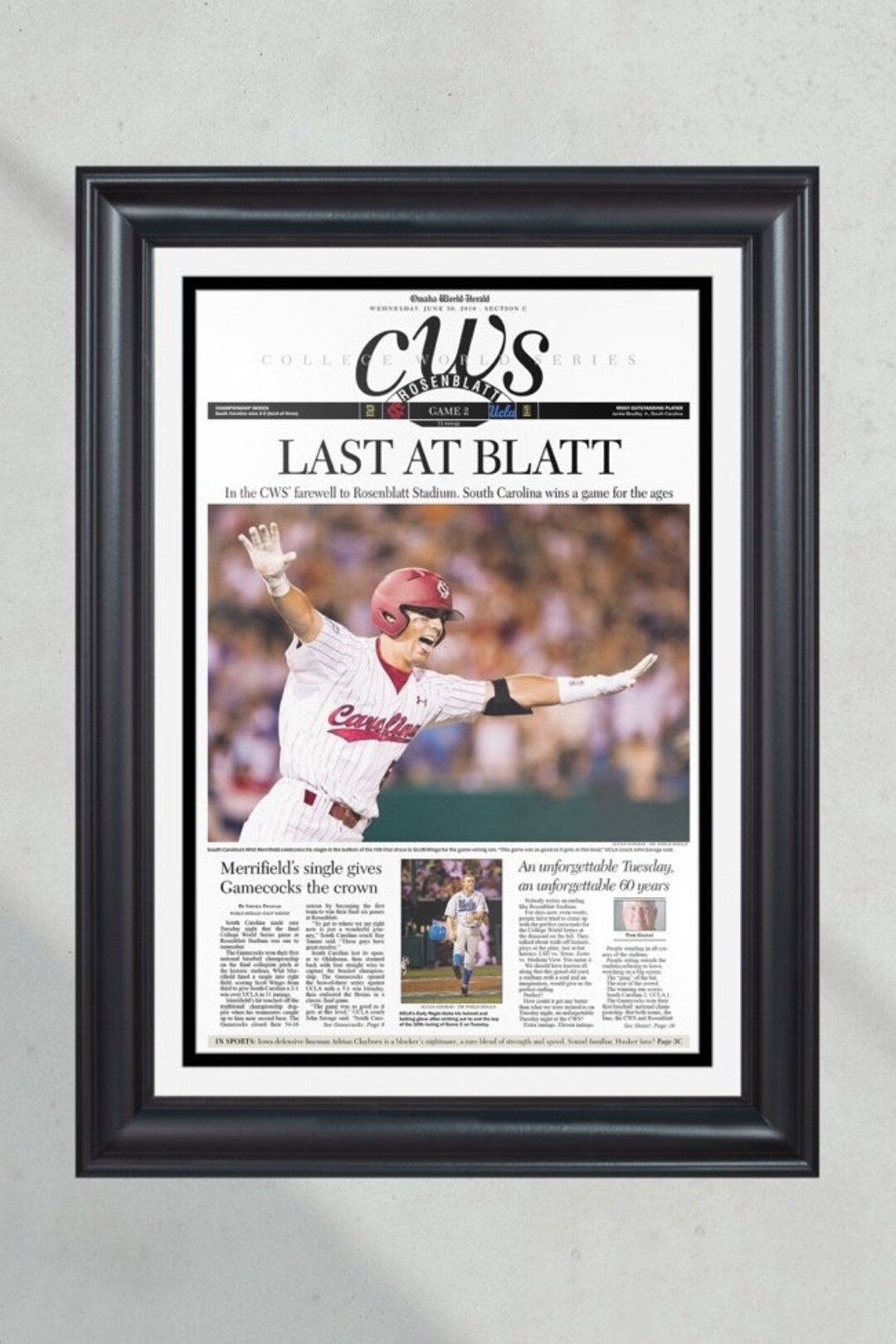 2010 South Carolina Gamecocks College World Series Champions Framed ...
