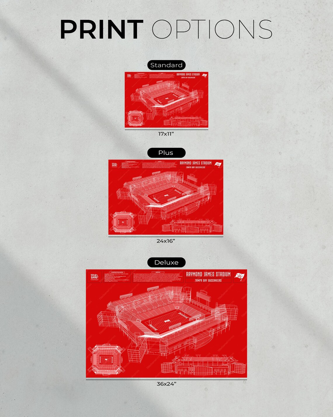 Tampa Bay Buccaneers Raymond James Field Stadium Blueprint Football ...