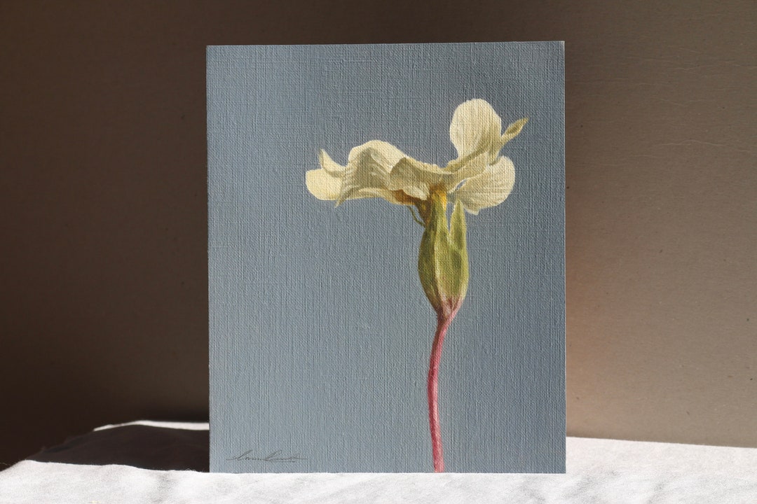 Primrose, Golden Sunlight Oil Painting on Canvas Paper, Original Flower ...