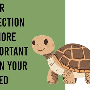 TURTLES - Three Hinge Head Decorative Toppers, Magnetic Door Hinge ...