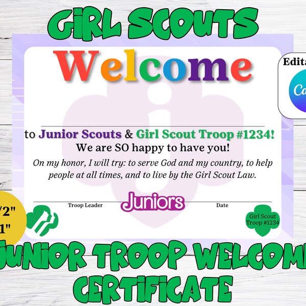 Girl Scout Junior - Etsy