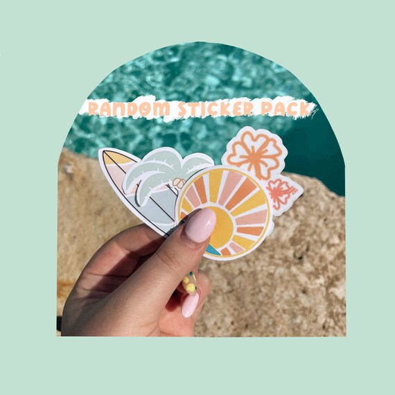 Random Sticker Pack Coconut Girl Aesthetic Stickers - Etsy