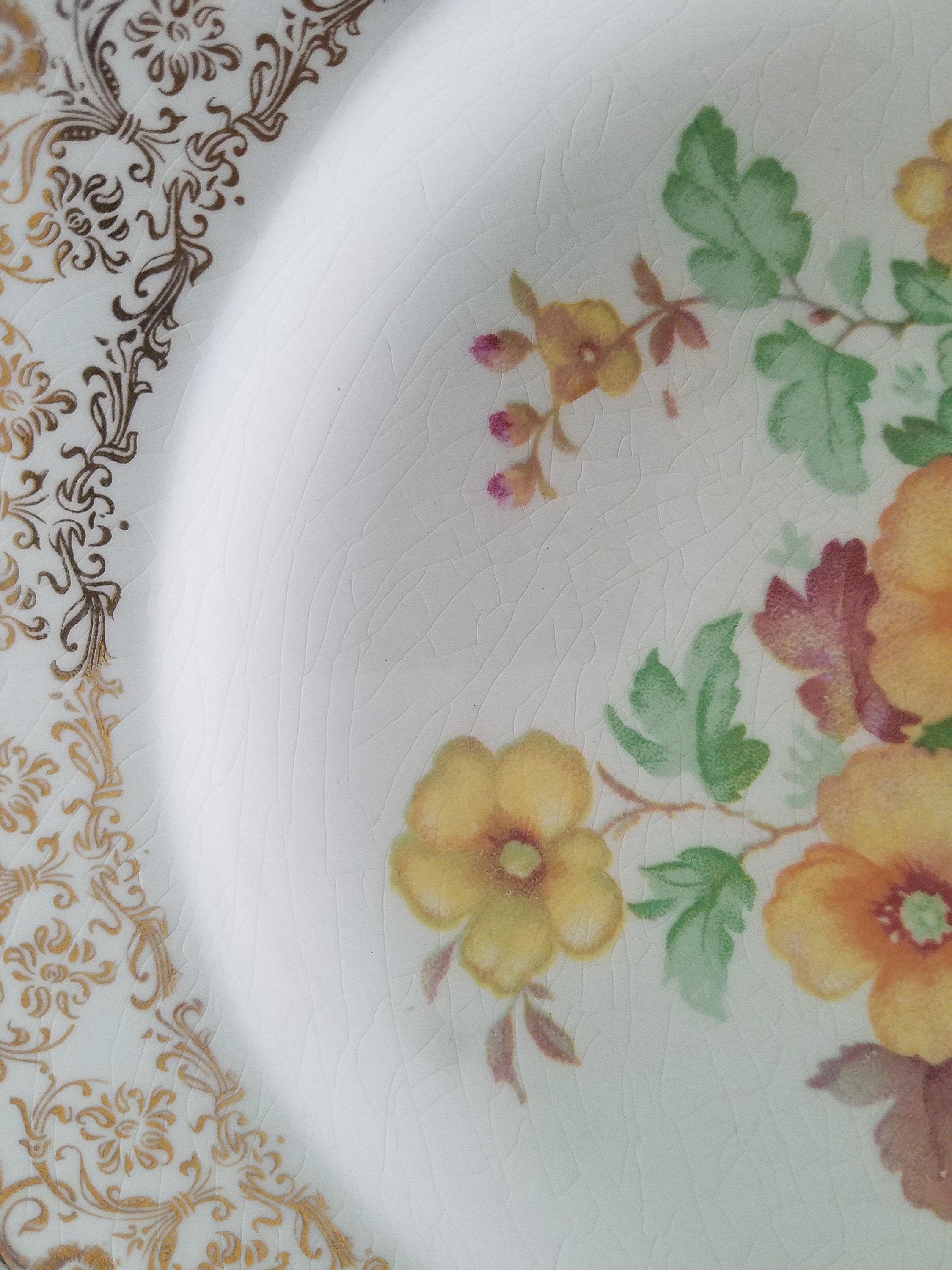 Set of Autumn Dalton China Dinner Plates by Royal China Inc. - Etsy