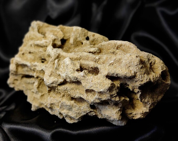 Aquarium Rock Terrarium Rock Aquascape Eroded Shelly - Etsy