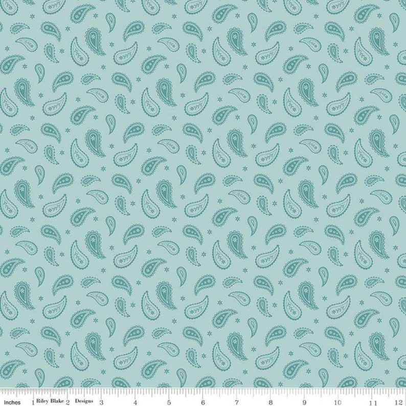 Ally's Garden Paisley Aqua - Etsy