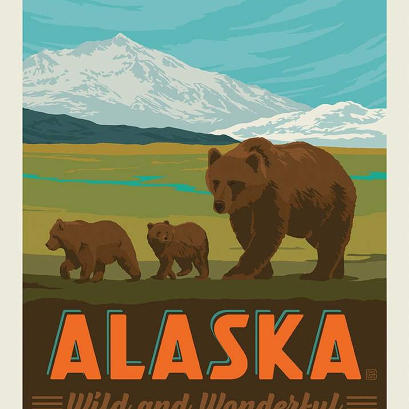 Alaska Fabric - Etsy
