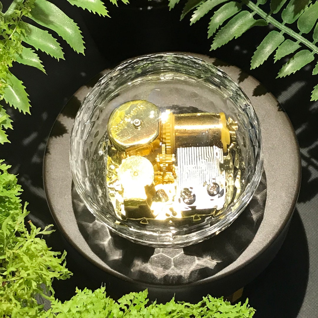 Globe-shaped Transparent Music Box | Golden Wind-up Movement | Choice ...