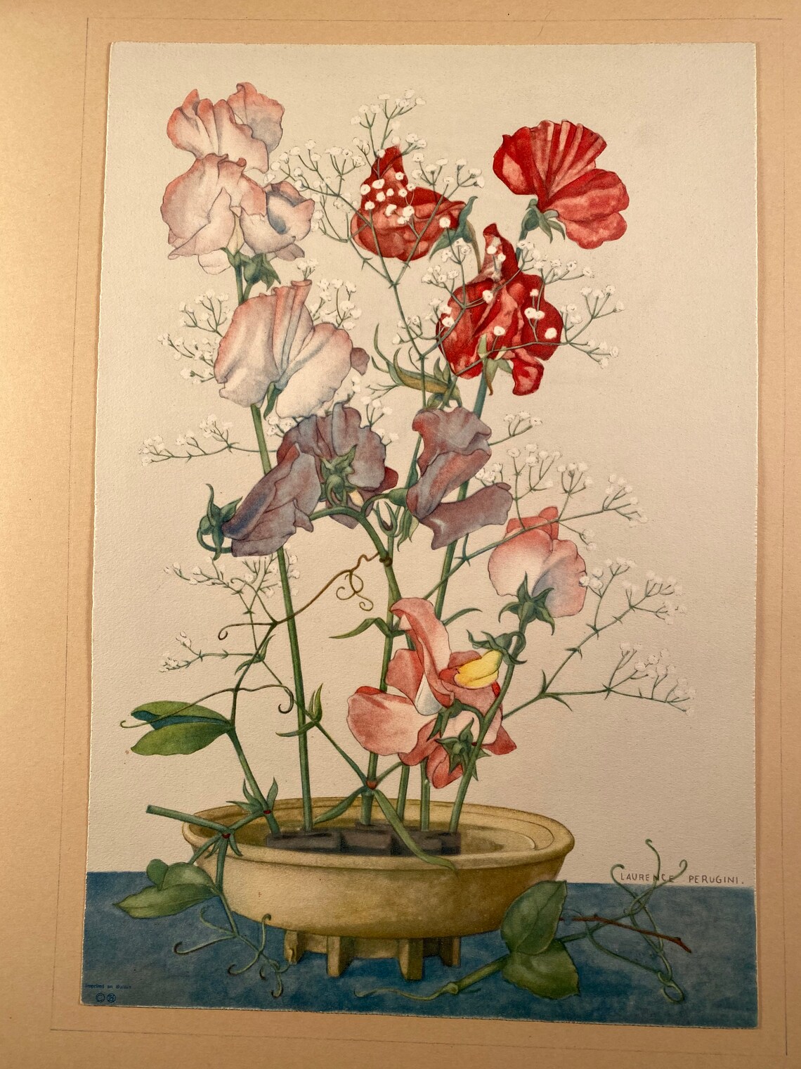 Vintage Laurence Perugini 1930's Floral Art Prints Set | Etsy