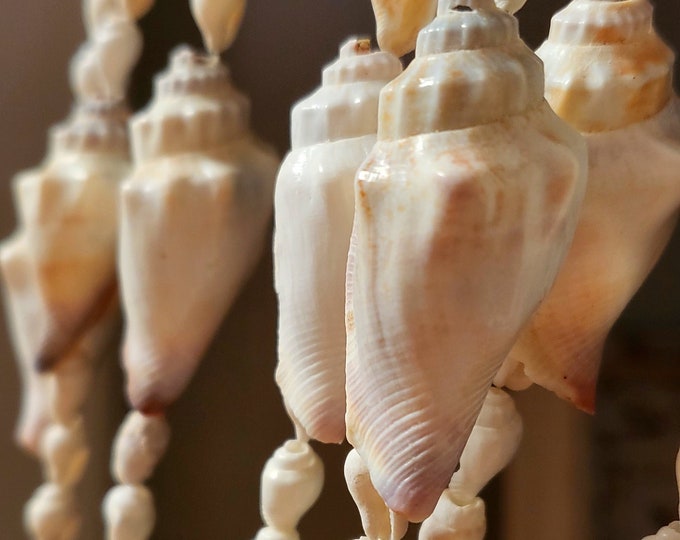 Boho Sea Shells, Coastal Decor, Bohemian Decor, Sea Shell Strings, Boho ...