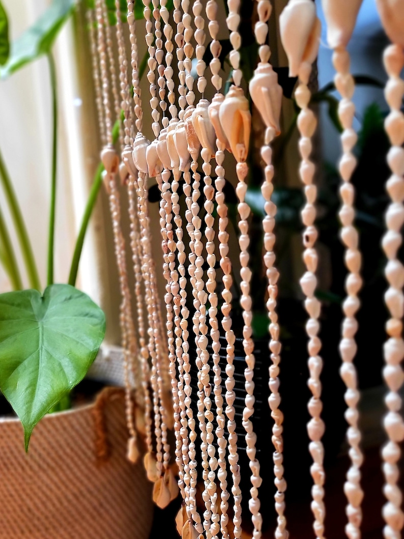 Boho Sea Shells Coastal Decor Bohemian Decor Sea Shell - Etsy