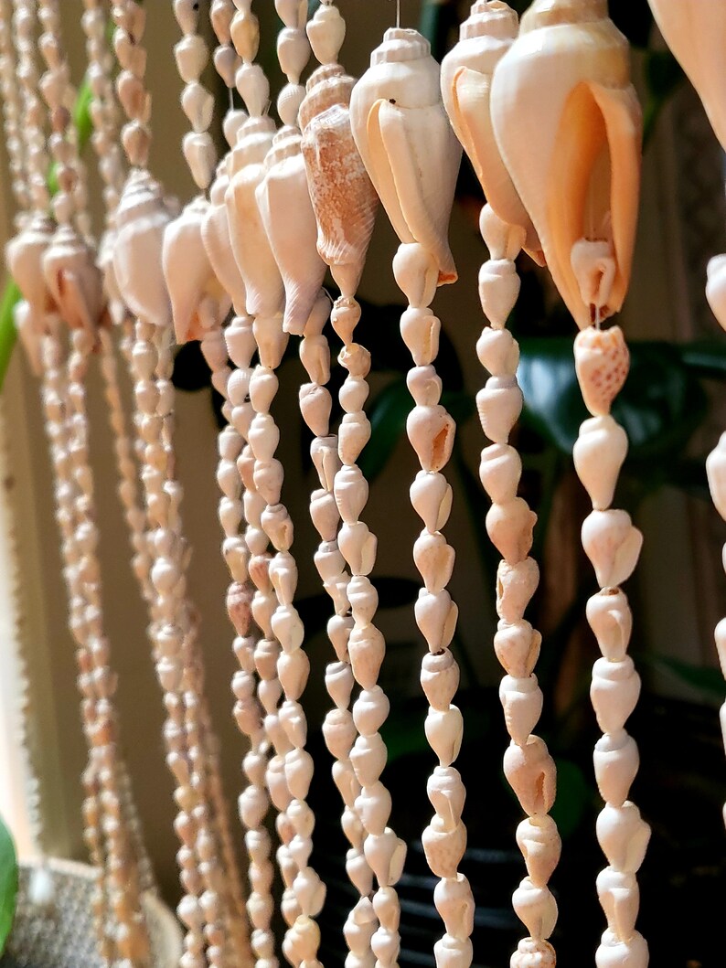 Boho Sea Shells Coastal Decor Bohemian Decor Sea Shell - Etsy