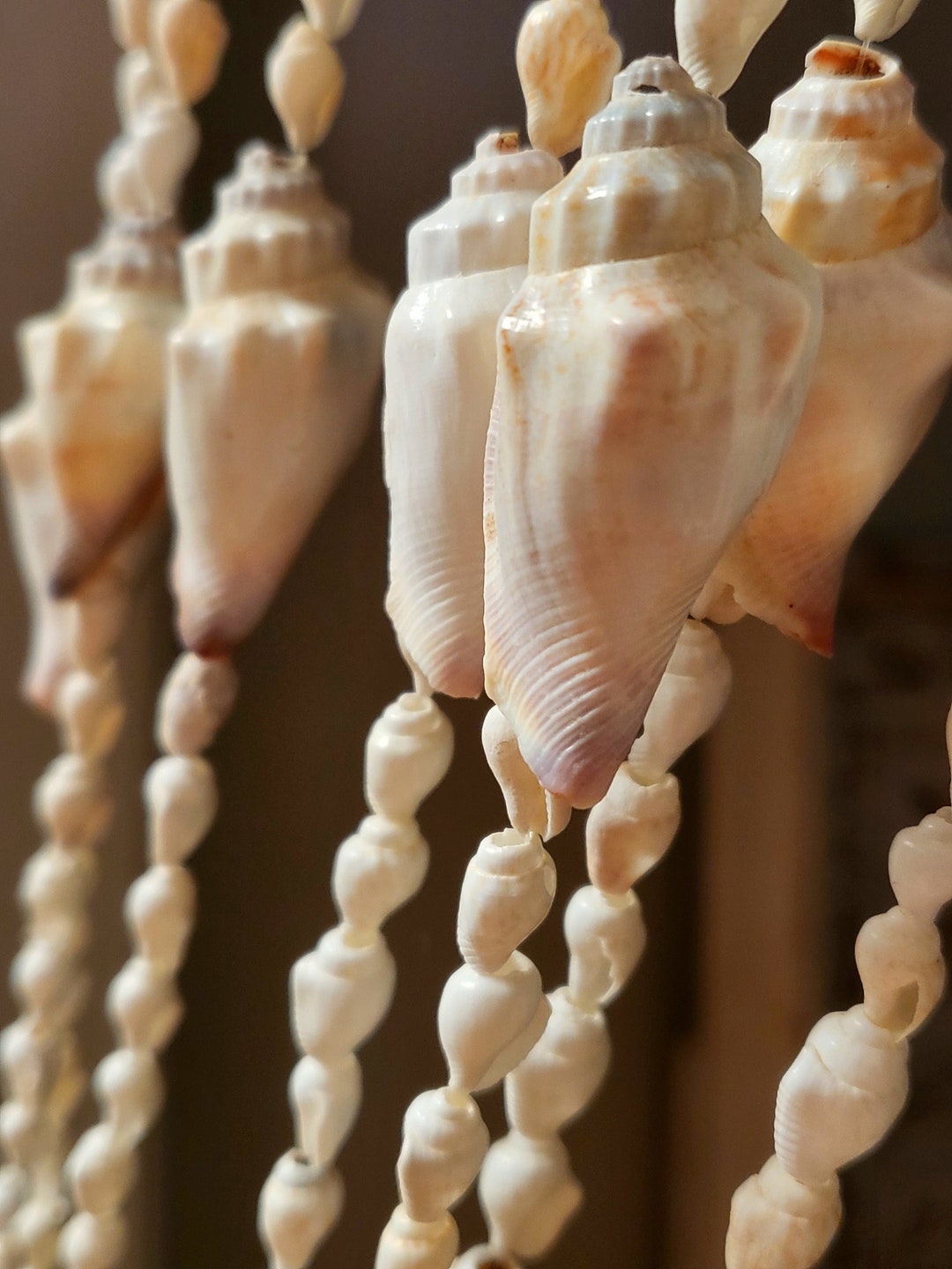 Boho Sea Shells, Coastal Decor, Bohemian Decor, Sea Shell Strings, Boho ...