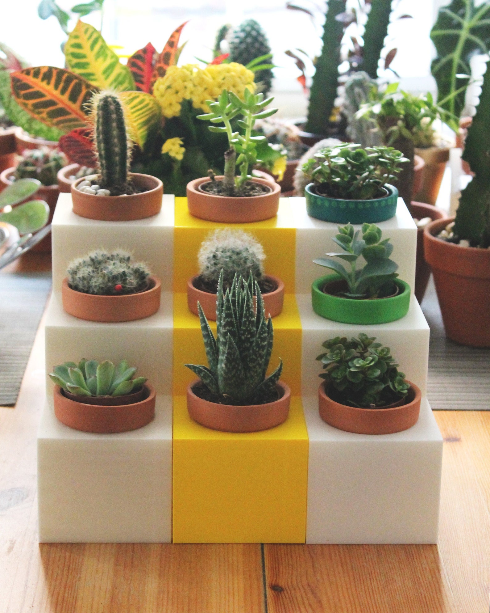 3D Printed Planter + Clay Pots / Indoor Planter / Plant Holder ...