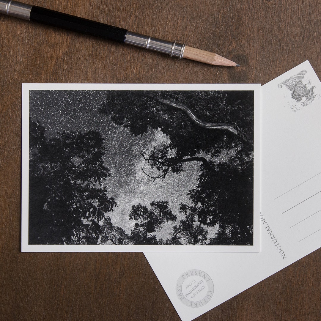 Celestial Postcard, Stars in the Forest, Space Card Set, Tree Birthday ...