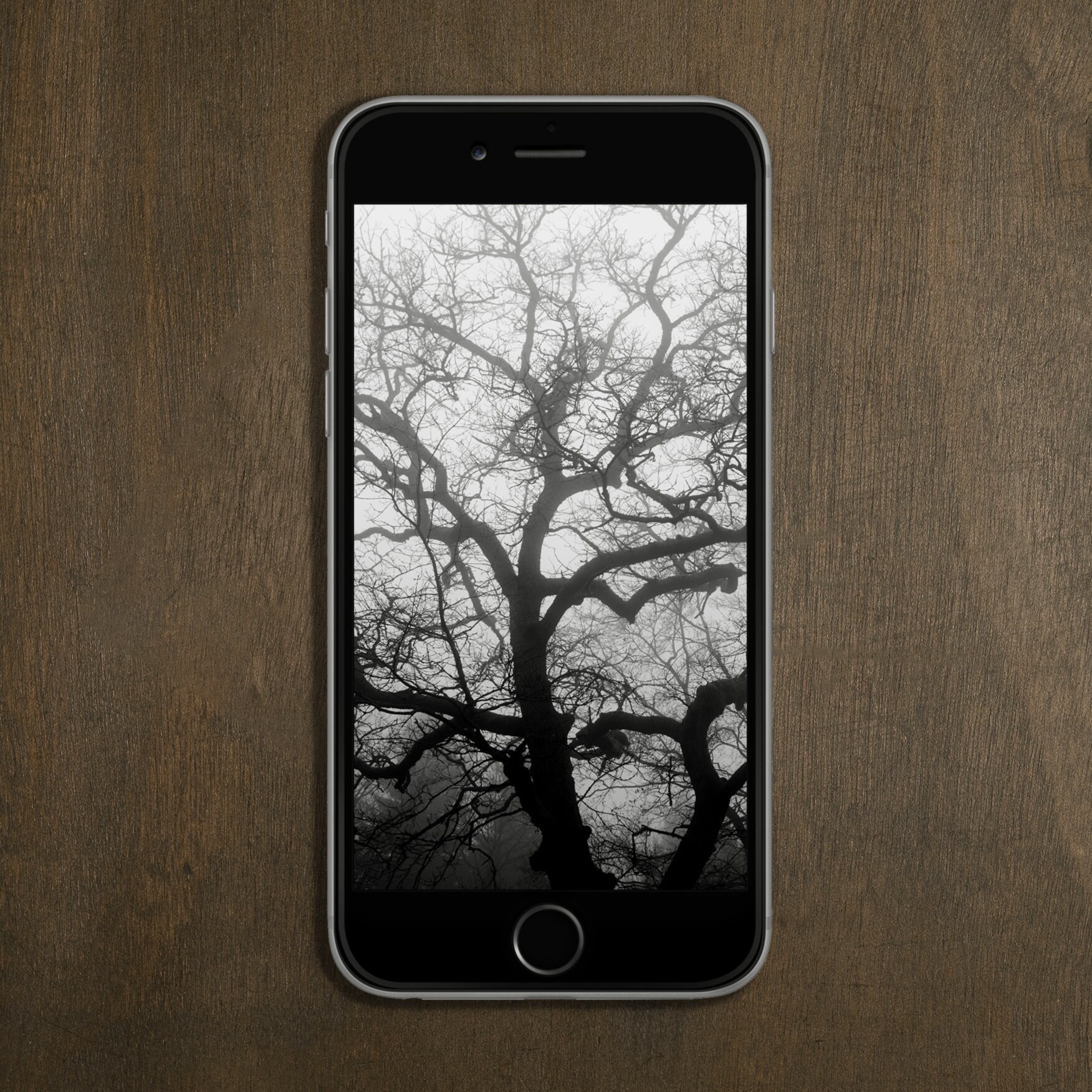 Tree Phone Wallpaper Digital Download "fractal Nature", Mindful ...