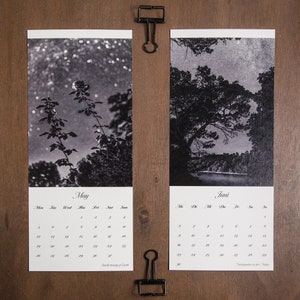 2025 Celestial Wall Calendar, Starry Night Sky on Recycled Paper ...