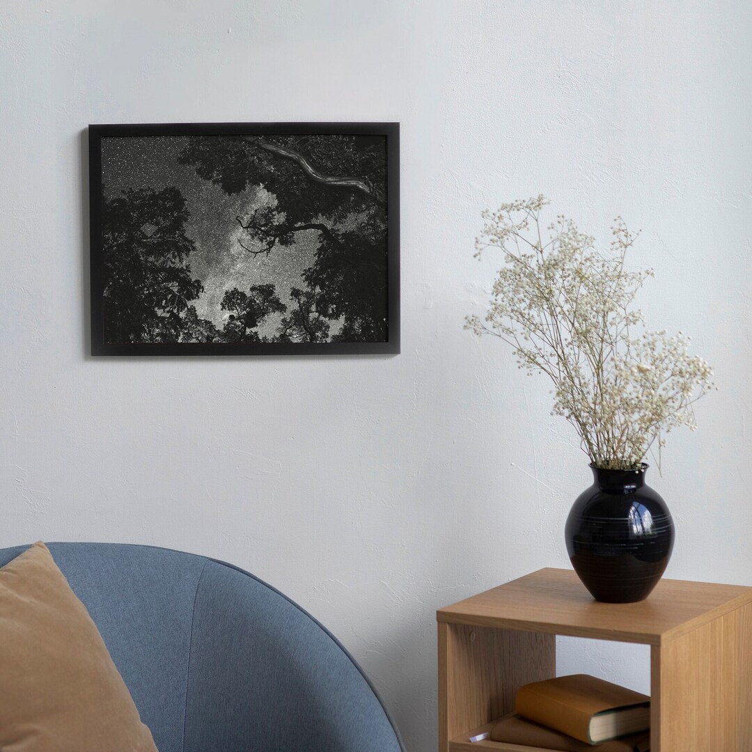 Astronomy Photo Print on Recycled Paper, Starry Night Sky in Forest ...