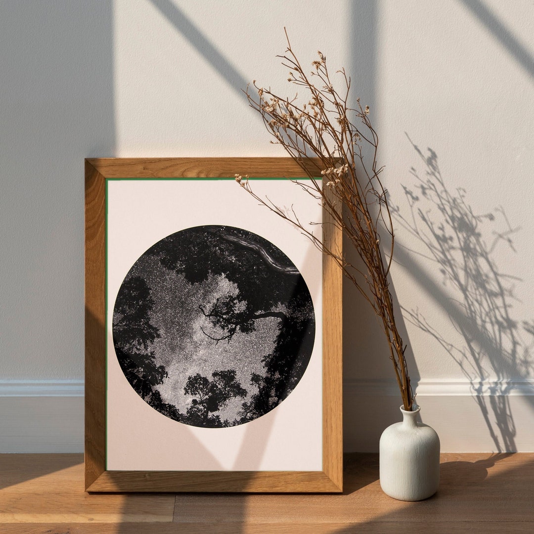 Stars in the Forest Photo Print on Baryta Paper in Round Design, Starry ...