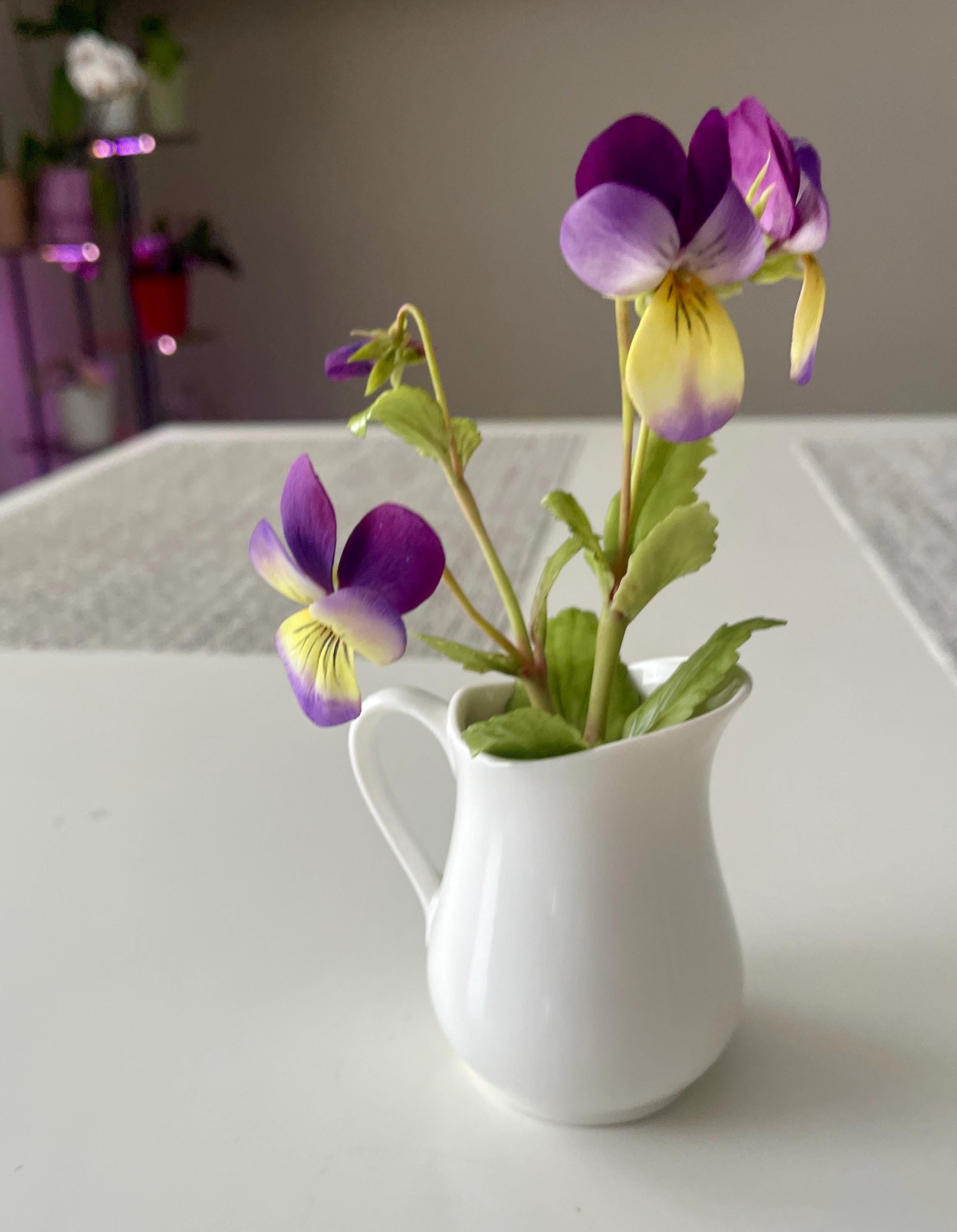 Pansy Flower From Polymer Clay Cottagecore Decor Gift for Mom - Etsy