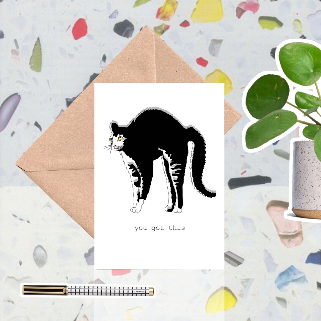 Cat Card. Cats. Scaredy Cat. Encouragement. You Got This. - Etsy