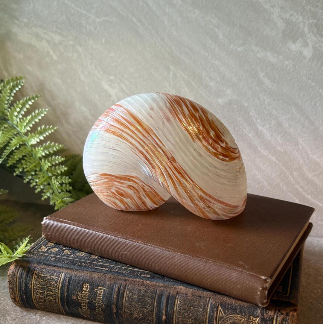 Glass Eye Studio Hand Blown Glass Nautilus Shell - Etsy