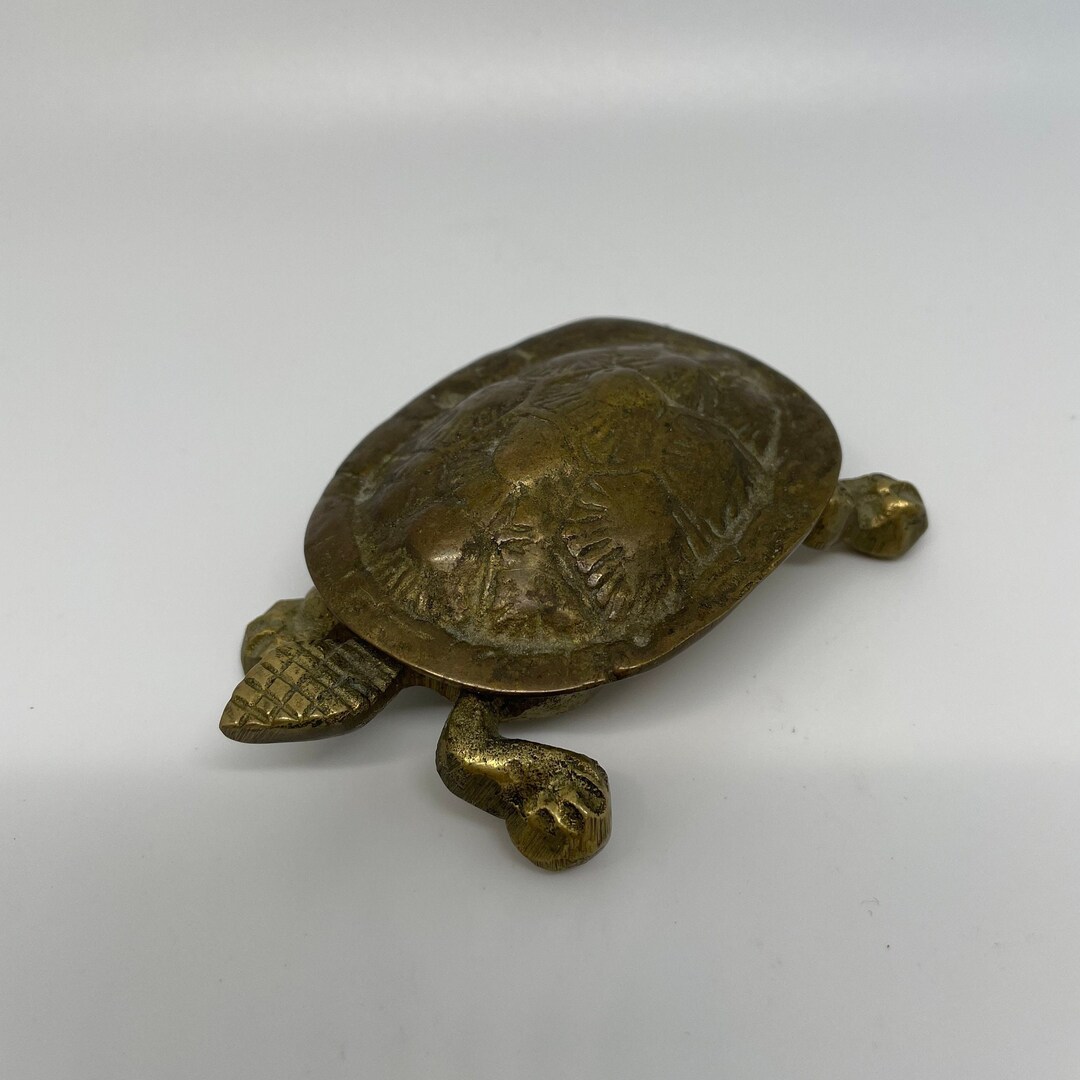 Antique English Early 1900's Brass Hinged Turtle Trinket Box - Etsy