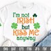 Irish Flag SVG File St. Patrick's Day SVG File St Patrick Clip Art ...