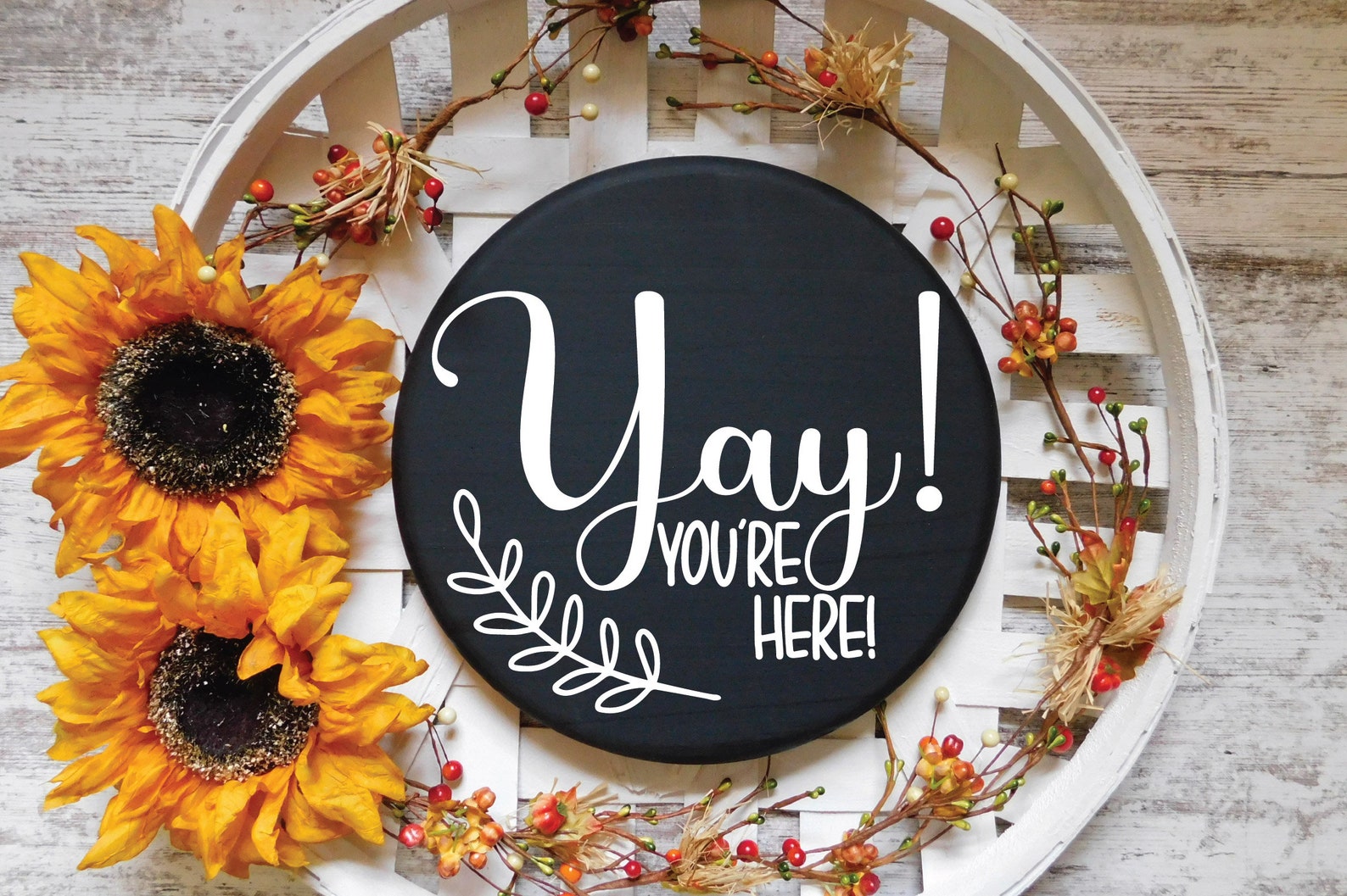 Funny Round Signs SVG Bundle - Round SVG Files - 22 Funny Sayings SVG ...