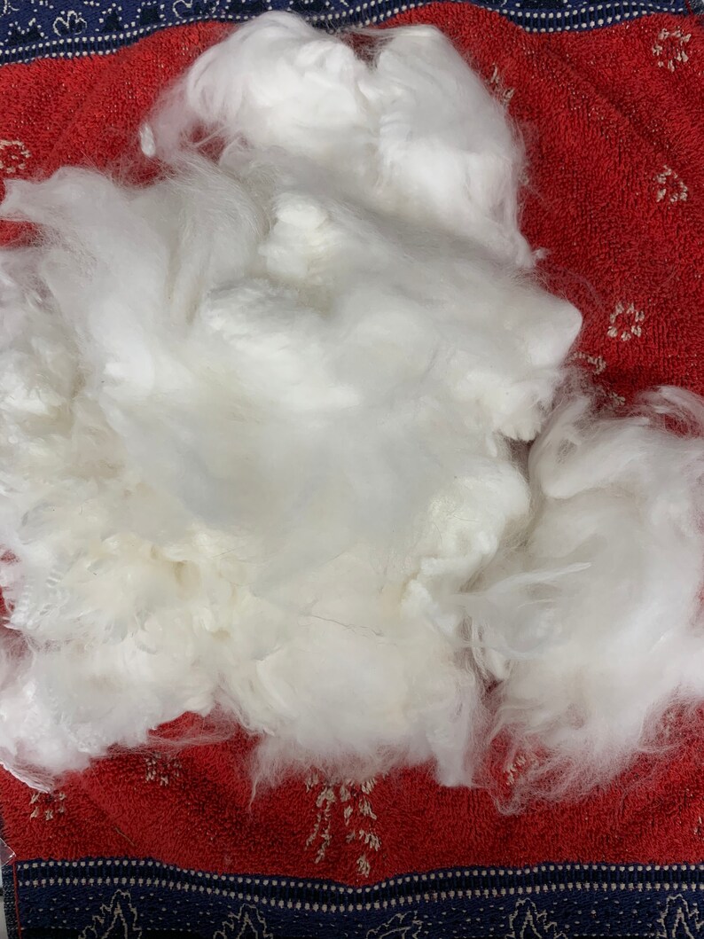 Raw Angora Wool Rabbit Fiber | Etsy