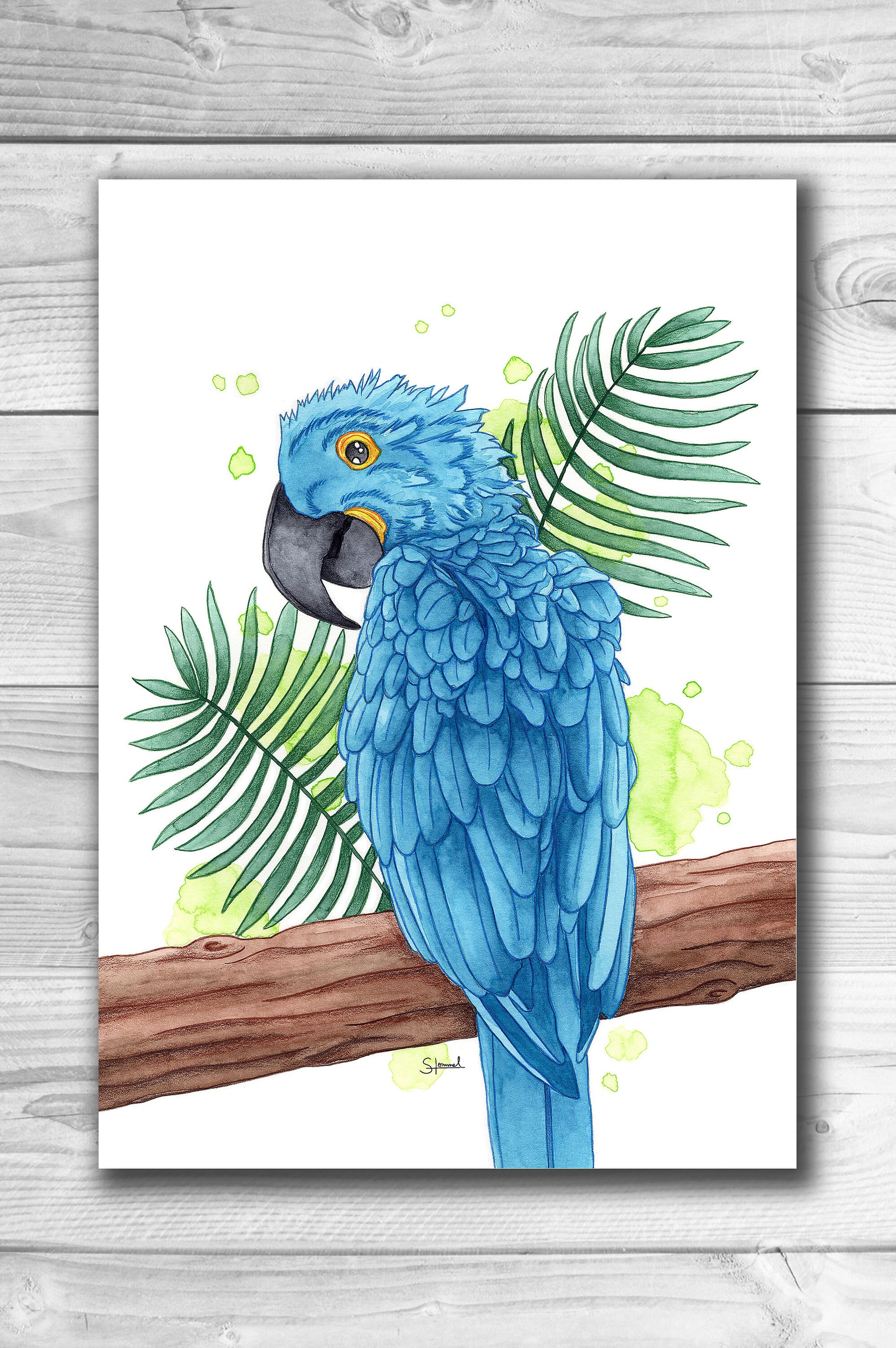 Hyazinth-Ara Poster Aquarell Illustration Druck - Etsy.de