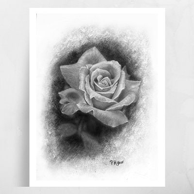 Print Rose Flower Pencil Drawing Botanical Wall Art Monochrome Wall Decor Romantic Art Decor Gift for Rose Lover Art Spring Flower Etsy UK