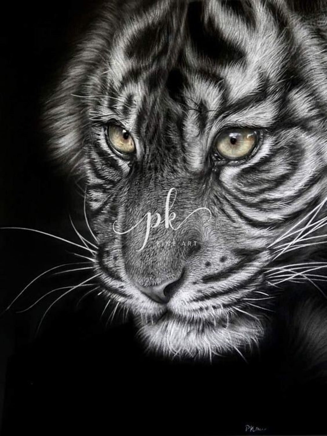 Tiger Original Artwork Realistic Tiger Pencil Drawing - Etsy