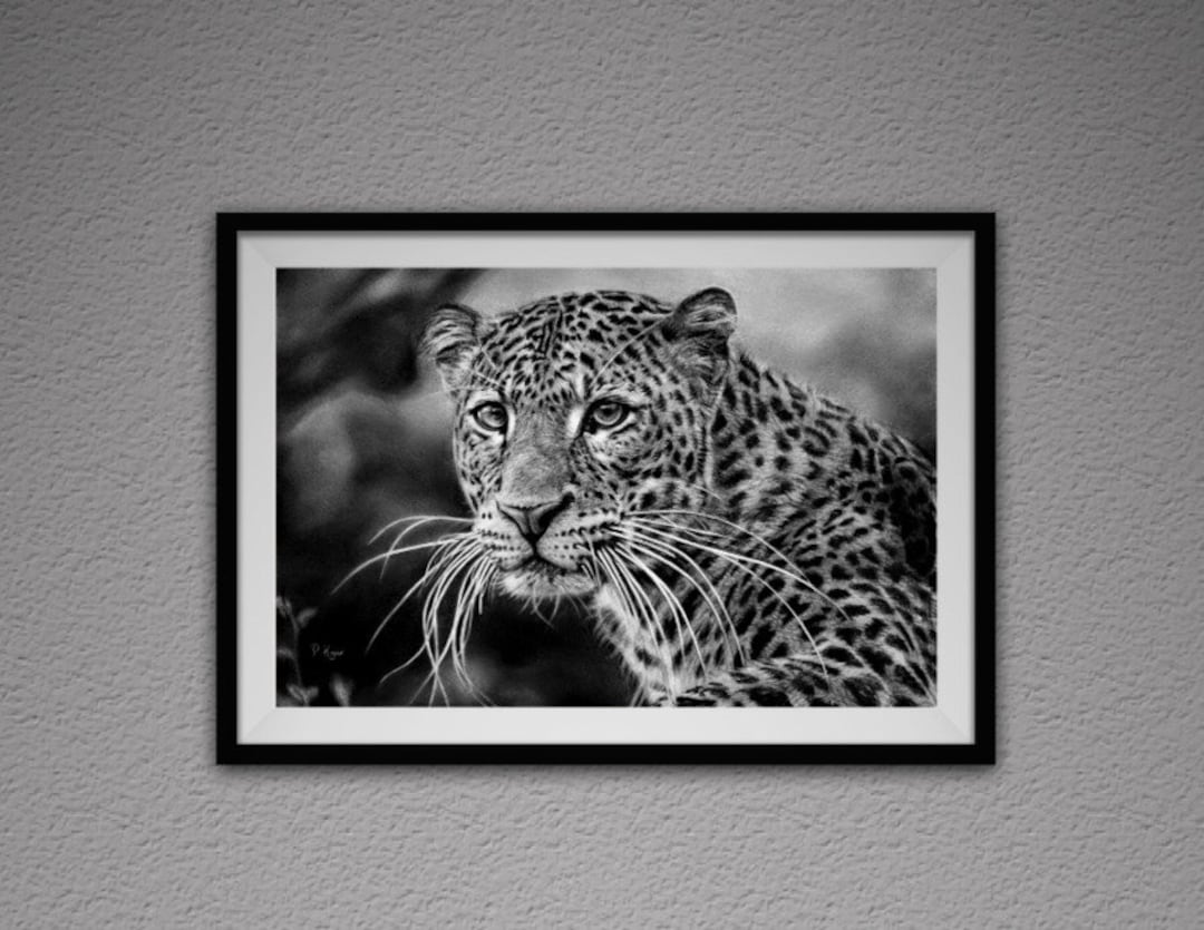 Leopard Pencil Drawing Print, Realistic Leopard Pencil Drawing ...