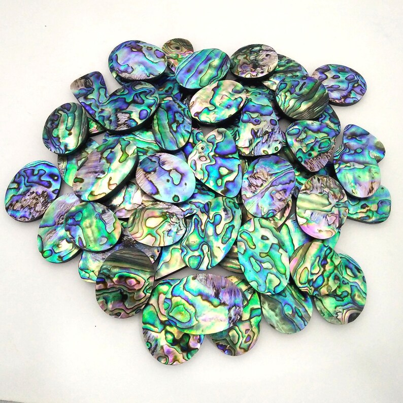 Beautiful Abalone Shell Cabochon Loose Gemstone Natural Paua - Etsy