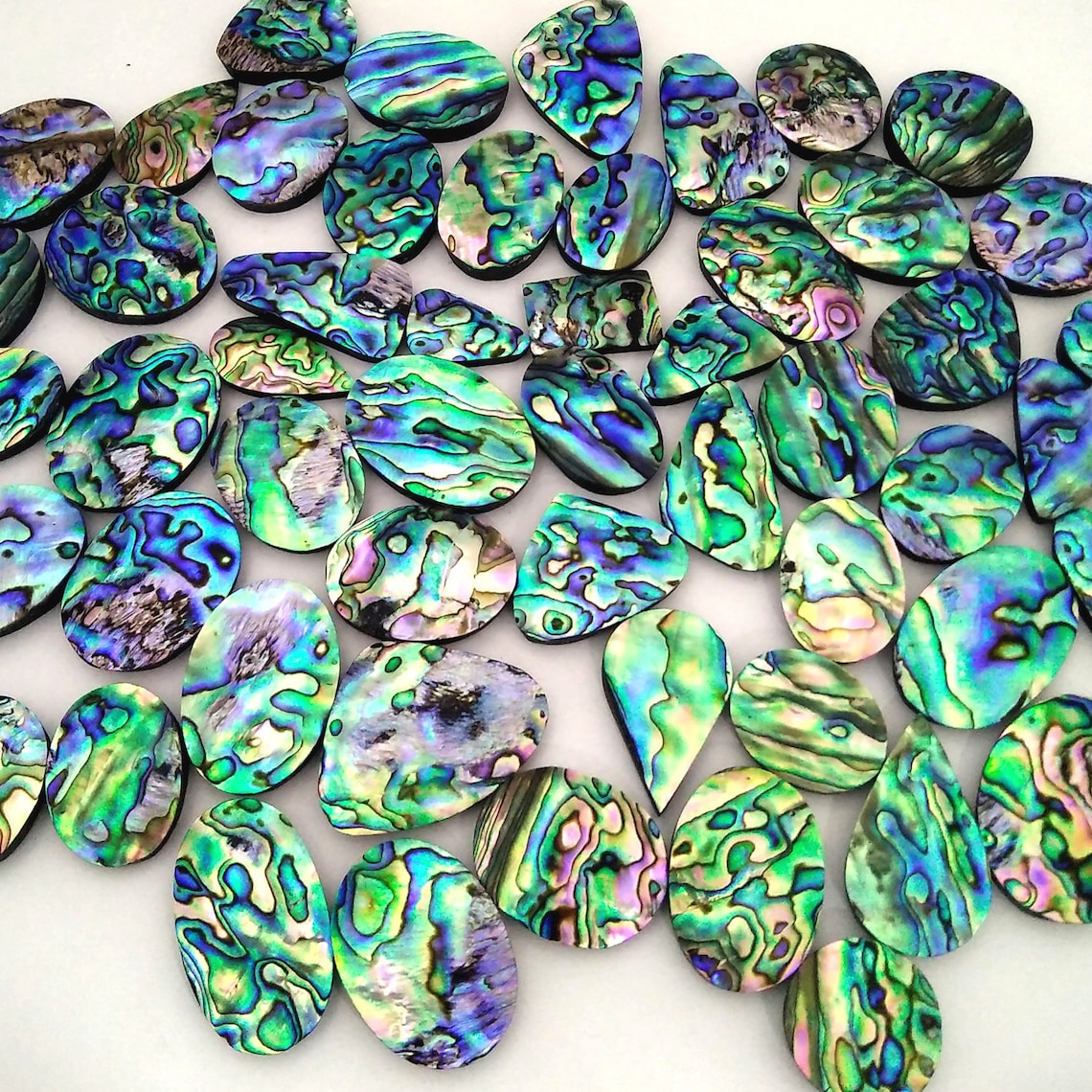 Natural Abalone Shell Cabochon Wholesale Abalone Shell - Etsy