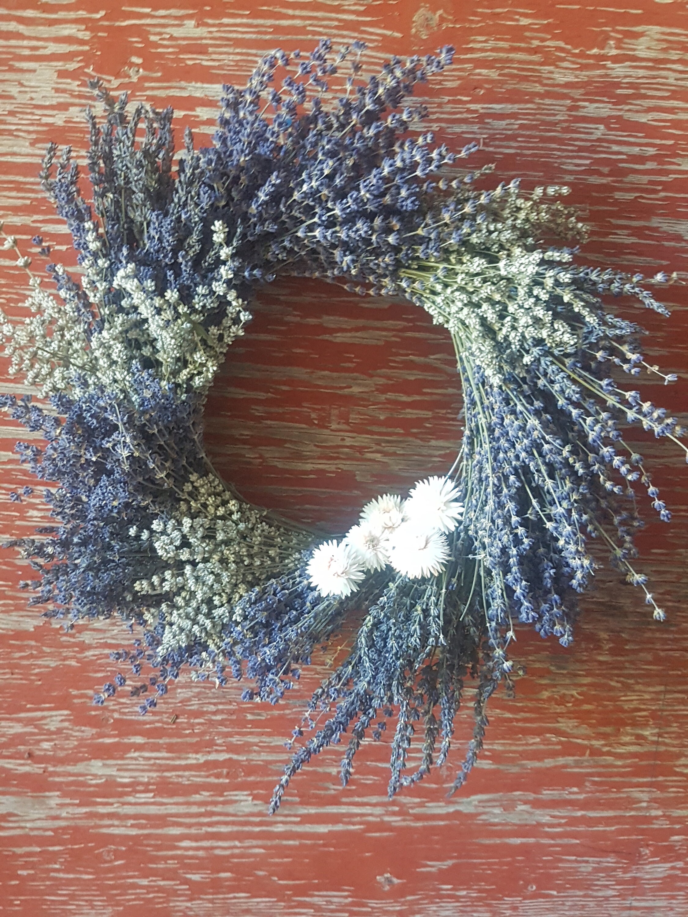 Lavender Wreaths - Etsy