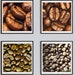 Coffee Seeds Texture 4 in 1 Png Images - Etsy